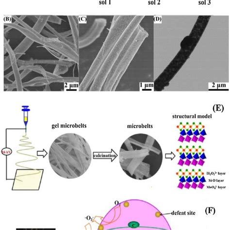 The Schematic Of Direct Z Scheme Heterojunction A And Step Scheme Download Scientific Diagram