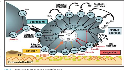 Figure 1 From When Do We Need Platelet Function Analysis Semantic Scholar