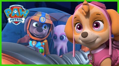 Top 999 Paw Patrol Images Amazing Collection Paw Patrol Images Full 4k