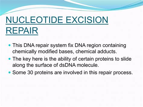 Dna Repair Of Thymine Dimer Pptx