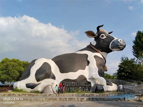 Review Iqoo Z X G Performa Kencang Baterai Paling Awet Laptophia