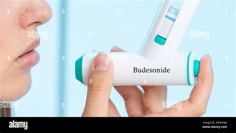 Budesonide A Corticosteroid That Reduces Inflammation In The Airways Commonly Used For Asthma