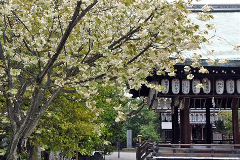 白峯神宮 京都観光 お寺と神社専門情報 古都ナビ