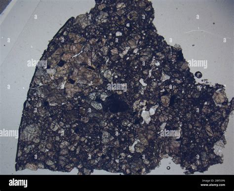 Micrograph Of Lap 031062 2 Meteorite Under Plane Polarized Light At 1 25x Magnification Stock