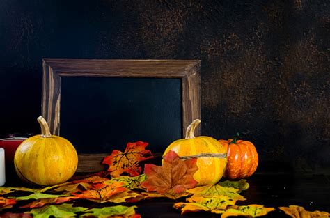 할로윈 장식 호박 진저 브레드의 다양한 검은 배경에 거미와 거미줄 가을 휴일 개념 수확 복사 공간 상단보기 10월에 대한 스톡 사진 및 기타 이미지 Istock