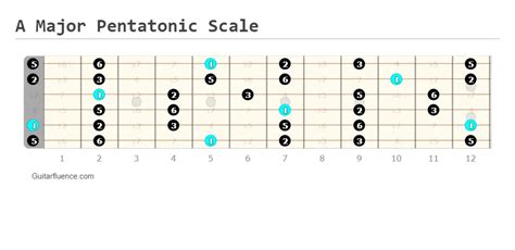 Major Pentatonic Scale Charts For Guitar All Positions Guitarfluence