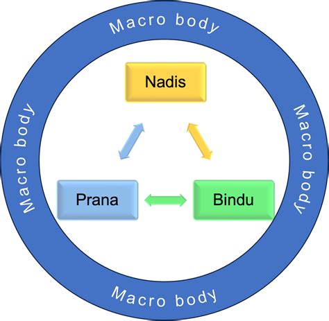 Shindos Guiding Approach 新加坡心道人生管理学院