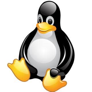 Linux Icon Transparent Linux PNG Images Vector FreeIconsPNG