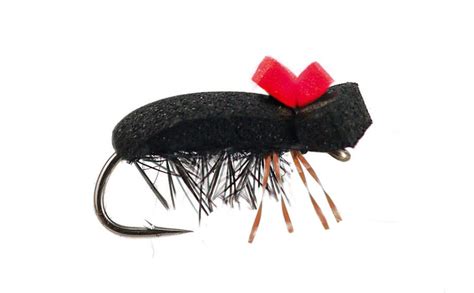 Beetle Pattern For Fly Fishing