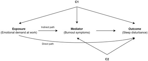 Assumed Causal Relationship Between Emotional Demands At Work Download Scientific Diagram