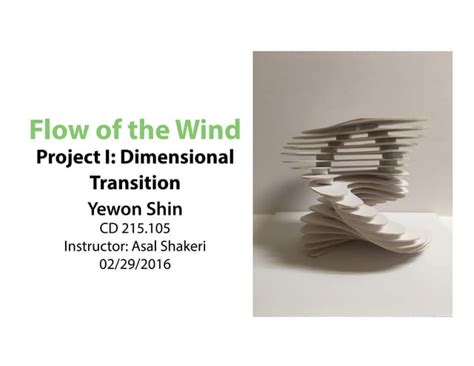 Before Shin Dimensional Transition Revised Process Document Ppt