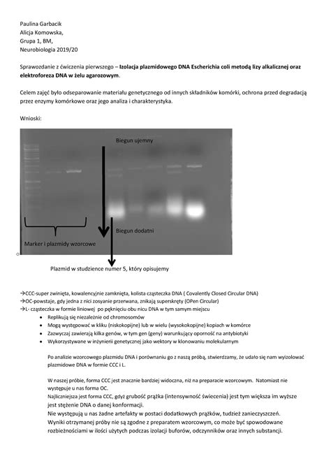 Sprawozdanie 1 Warning Tt Undefined Function 32 Warning Tt