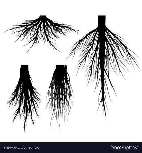 Tree Roots Silhouette Vector At Vectorified Com Collection Of Tree Roots Silhouette Vector