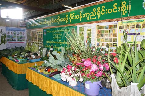 တောင်သူလယ်သမားနေ့အား ဂုဏ်ပြုကြိုဆိုသောအားဖြင့် ဟင်းသီးဟင်းရွက်၊ သစ်သီးဝလံနှင့် ပန်းမန် ပြပွဲ ပ