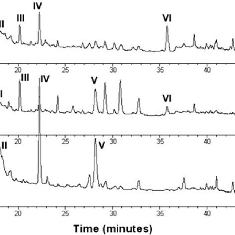 Analytical HPLC DAD ESI MS Chromatogram At And Nm Of A Download Scientific