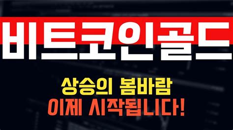 코인 비트코인골드 비트코인골드 코인전망 목표가까지 도달 투자 팁을 알려드립니다 Youtube