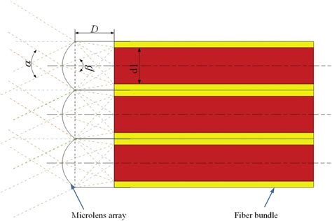 Assembly Diagram Of Microlens Array And Fiber Bundle Input End Download Scientific Diagram