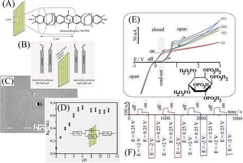 Schematic Drawing Of A The Molecular Structure Of Pim‐ea‐tb And B The Download Scientific