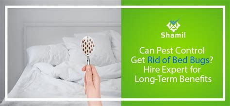Learn How Can Pest Control Get Rid Of Bed Bugs Expert Guide