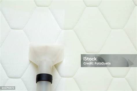 매트리스 또는 침대 화학분야 세척 전문적으로 추출 방법 가정 생활에 대한 스톡 사진 및 기타 이미지 가정 생활 가정의 방