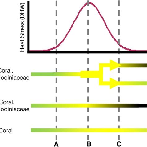 A Comparison Of Point Intercept Transect Pit Line Intercept Transect