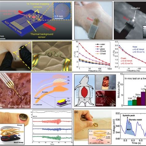 Yihui Zhang Professor Phd Tsinghua University Beijing Th Department Of Engineering