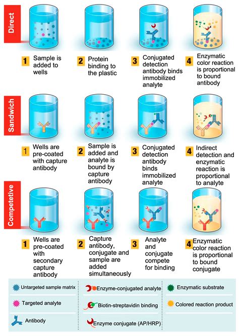 Competitive Antigen Elisa