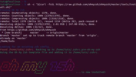 Guide To Installing And Customizing Oh My Zsh On Ubuntu