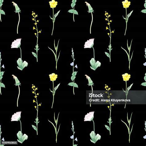 검은 배경에 야생화 노란색 민들레가 있는 수채화 무늬 식물 스타일로 손으로 그린 것 휴일 결혼식 디자인 직물 섬유 벽지 표지 인쇄물 포장 종이 스크랩북용 디지털 종이 팩