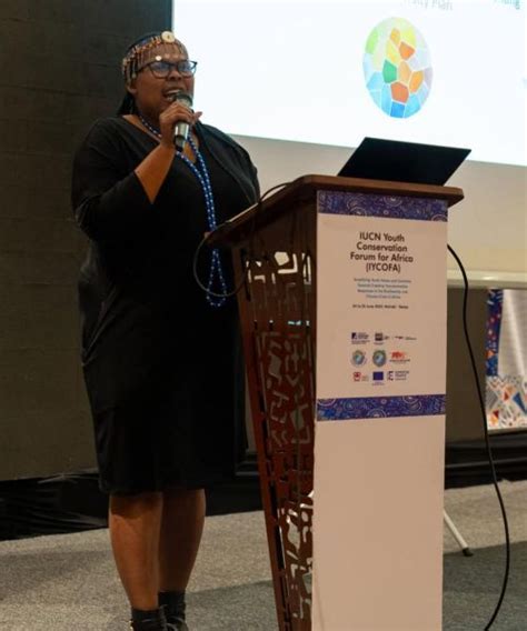 African Youth And Partners Launch The Projects Catalogue Showcasing