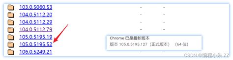 【工具篇】chromedriver的下载与安装chromdriver Csdn博客