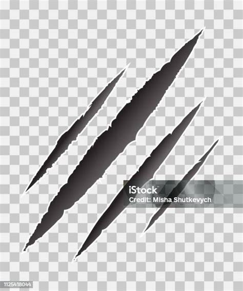 발톱 긁힌투명 한 배경에서 분리 하는 벡터입니다 눈물 괴물 발톱 스크래치 마크입니다 고양이 호랑이 흠집 발 모양 독일 화폐 단위에 대한 스톡 벡터 아트 및 기타 이미지