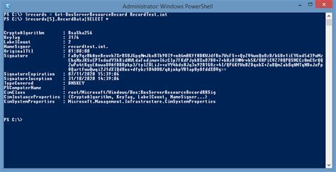 Getting The Text Representation Of A Microsoft Dns Record Using Powershell Get