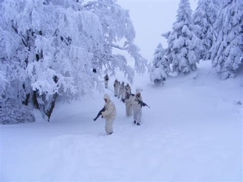 The Military Has Camouflage Covered 86 Pics