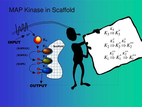 Ppt Cellerator Simulating Biochemical Networks For Biomedical Research Powerpoint