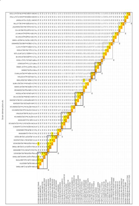 matrix of distances identity of pairwise sequence comparison pasc