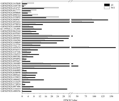 Fpkm Values For All 39 Validated Genes “” Represents 3233 Wt