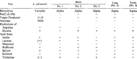 Biochemical Characteristics Of Streptococcus Isolates Recovered From