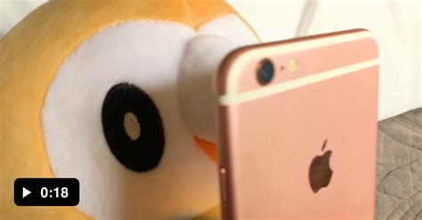 Ur Cute By Narpy Yt 9gag
