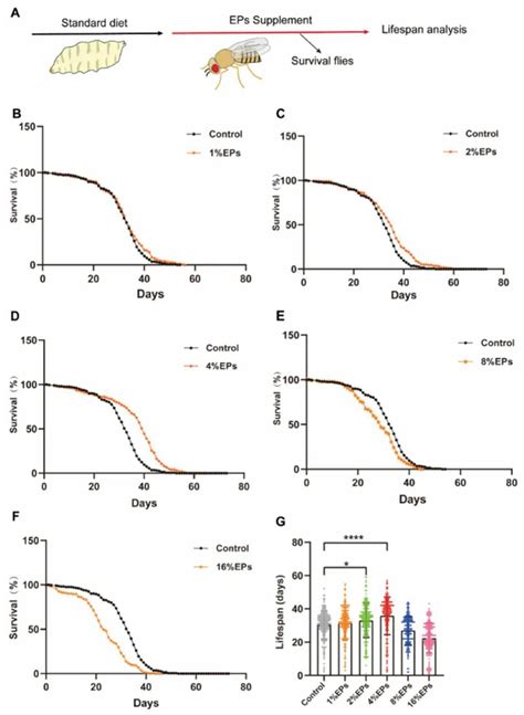 精品解读 多糖结构与活性研究范例：蛋白组与微生物组联合揭示杜仲多糖延长果蝇寿命的分子机制 知乎