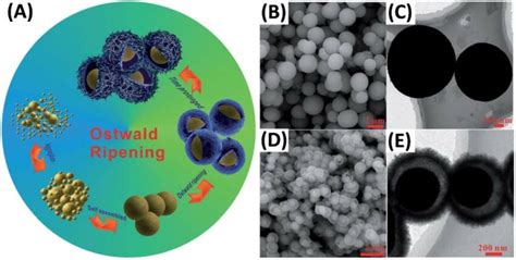 A Synthetic Approach To N Doped Tio 2 C Yolk Shell Spheres By Download Scientific Diagram