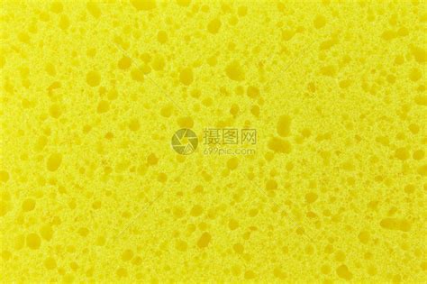 海绵高清图片下载 正版图片503651378 摄图网