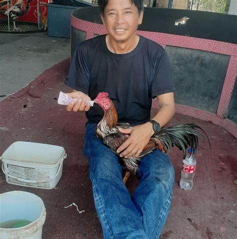 Mcot พิชัย มั่นใจ “ภาษีทรัมป์ 19 ” ไม่กระทบ เชื่อส่งออกไทยยังเป็นพระเอก แนะเร่ง Fta ดันจีดี