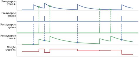 calculation of weight updates using pair based stdp traces pre and