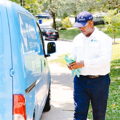 Termite Treatment In Chicago Moxie Pest Control