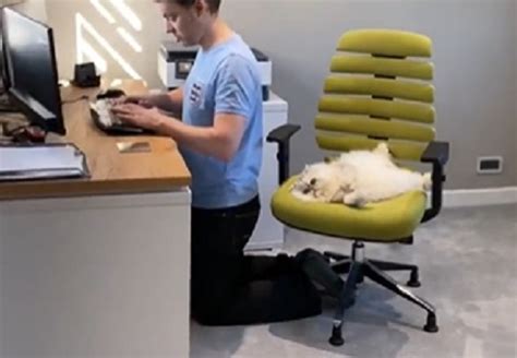 笑仕事中の飼い主の椅子を占領しちゃった猫主は床にwwww BREAK TIME