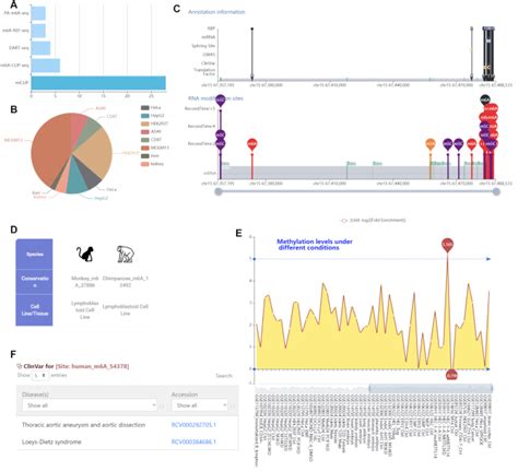 M6a Atlas A Comprehensive Knowledgebase For Unraveling The N6 Methyladenosine M6a