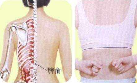 脾俞穴 经络穴位 气功人网