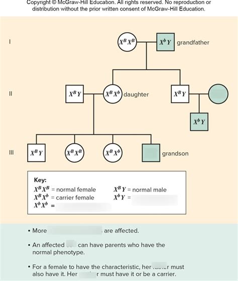 X Linked Recessive Pedigree Diagram Quizlet