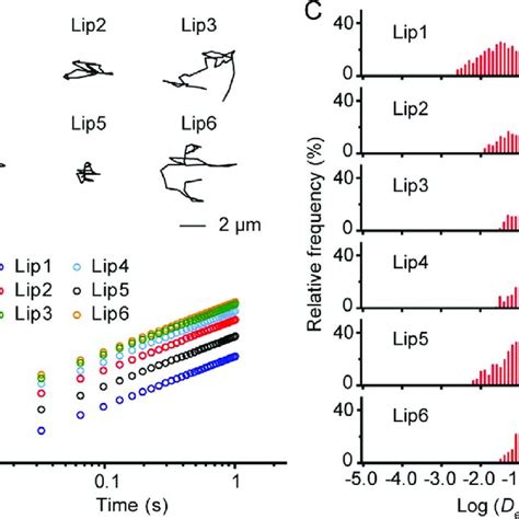 Multiple Particle Tracking Of Different Preparations A Download Scientific Diagram